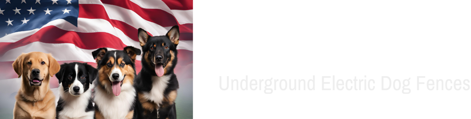 How to Train a Dog to Stay in an Electric Fence System for Dogs: A ...