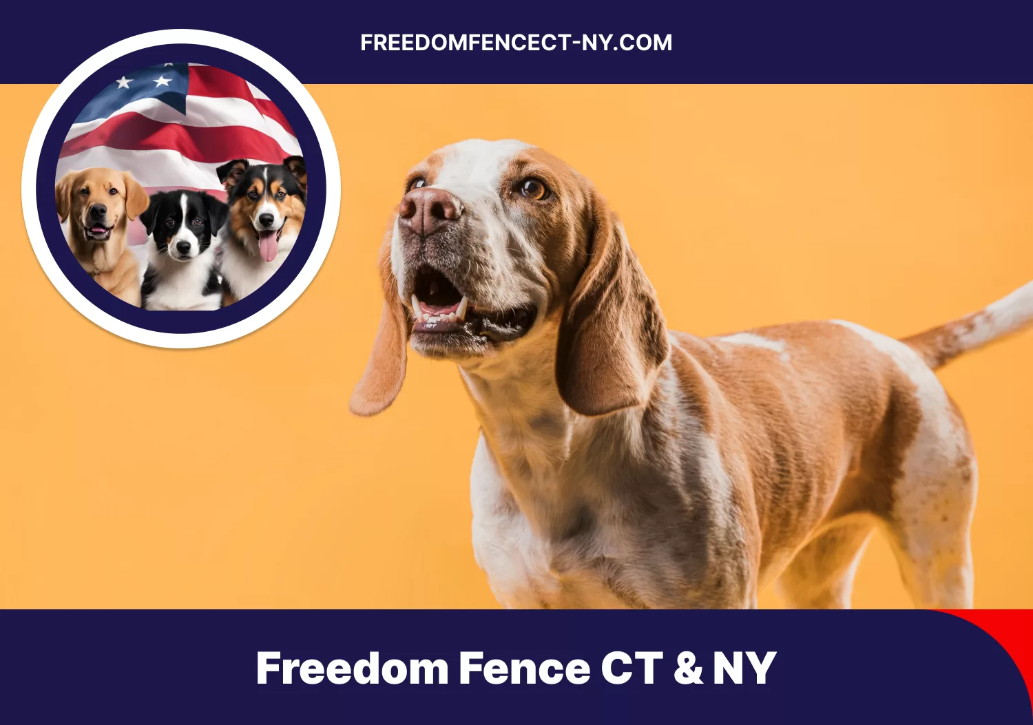 Dog Fence Invisible CT NY: Your Guide to Installation and Benefits ...
