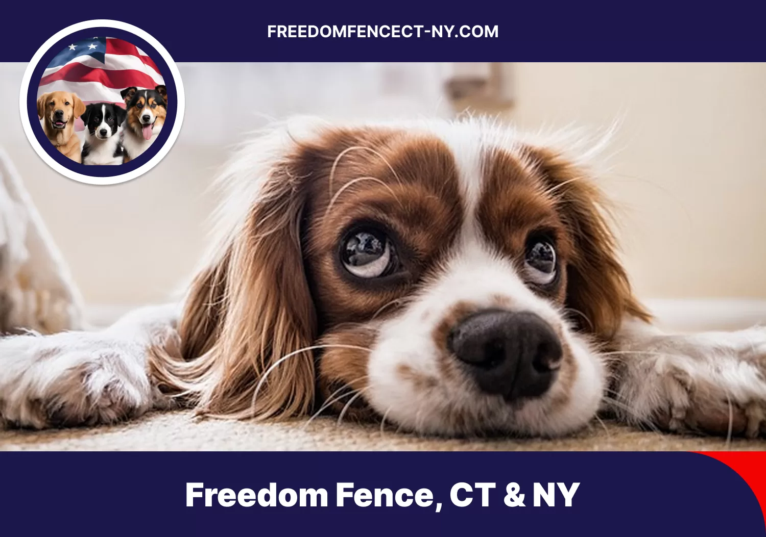 How to Install an Underground Dog Fence: A Step-by-Step Guide - Freedom ...